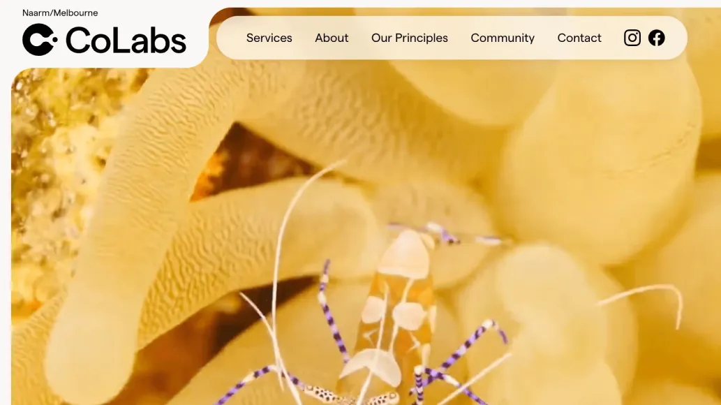 Best Mobile Navigation Bar Designs For Small Screens Tips And Examples Navbar Gallery